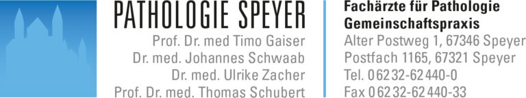 Prof. Dr. med. Timo Gaiser – Pathologie Speyer